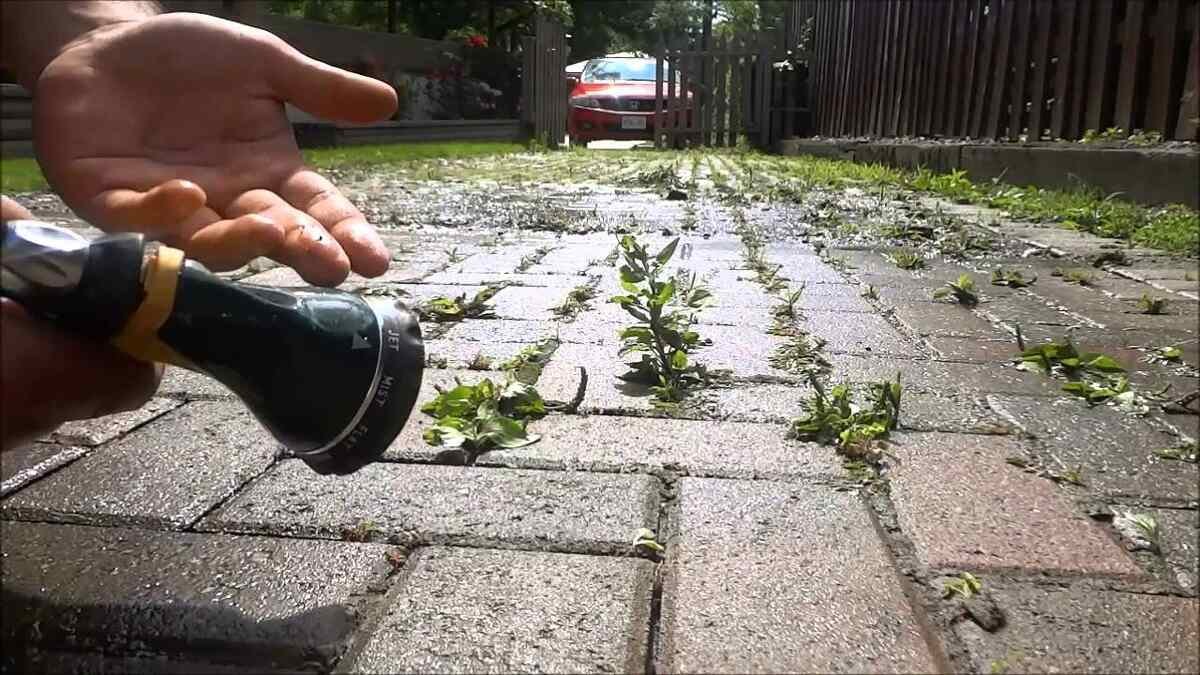 Block Paving Cleaning: Restore Colour & Stop Weed Growth